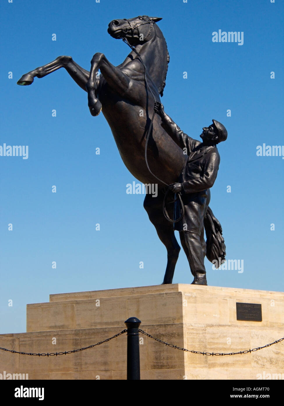 The Newmarket Stallion Statue Newmarket Town Suffolk England Stock ...