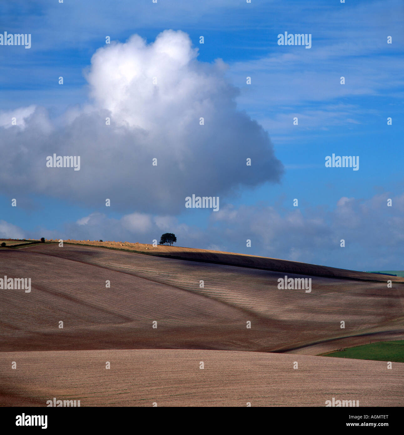Landscape, Salisbury Plain, England Stock Photo - Alamy