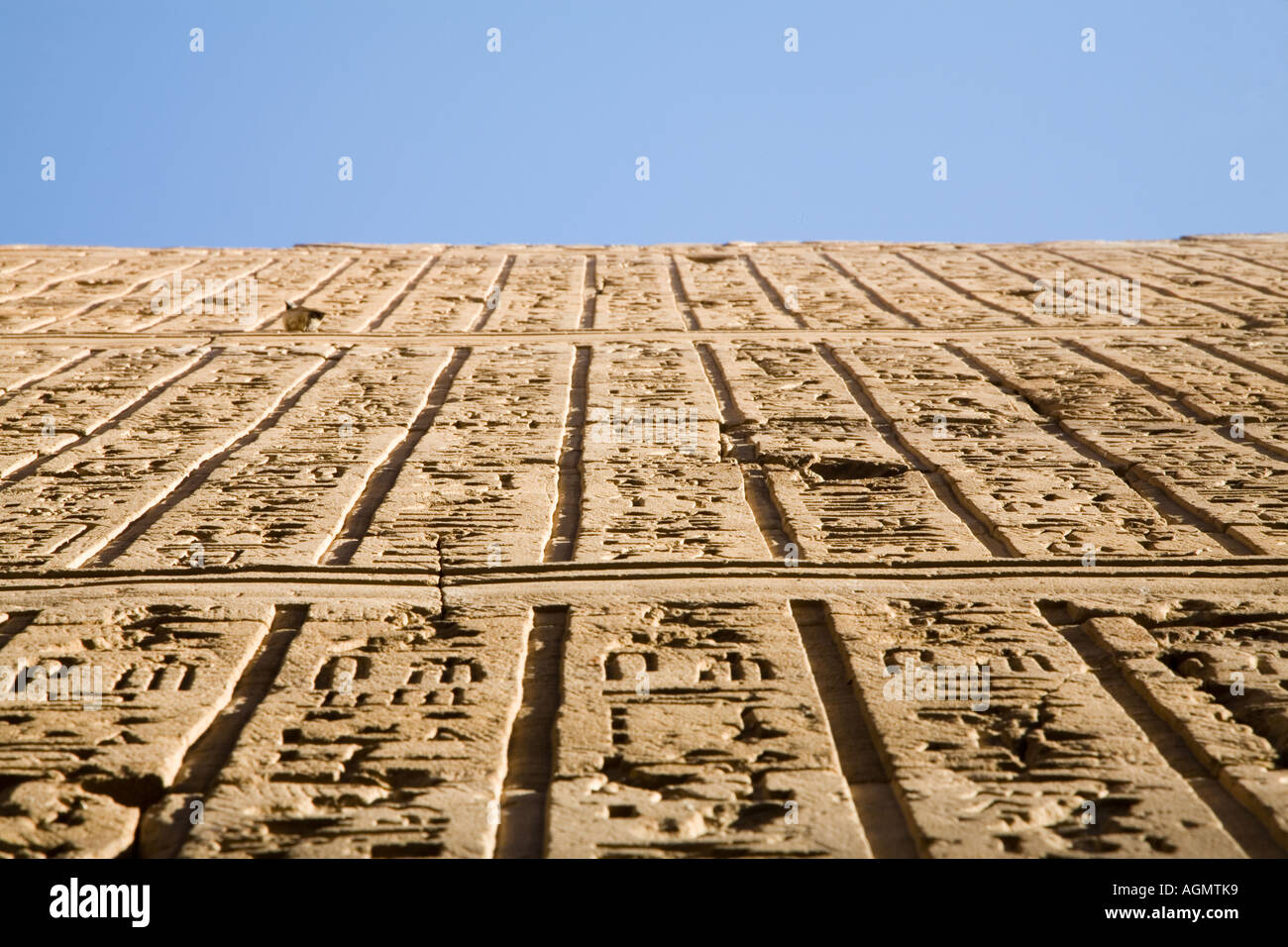 Hieroglyphics at Edfu Temple Egypt Stock Photo - Alamy