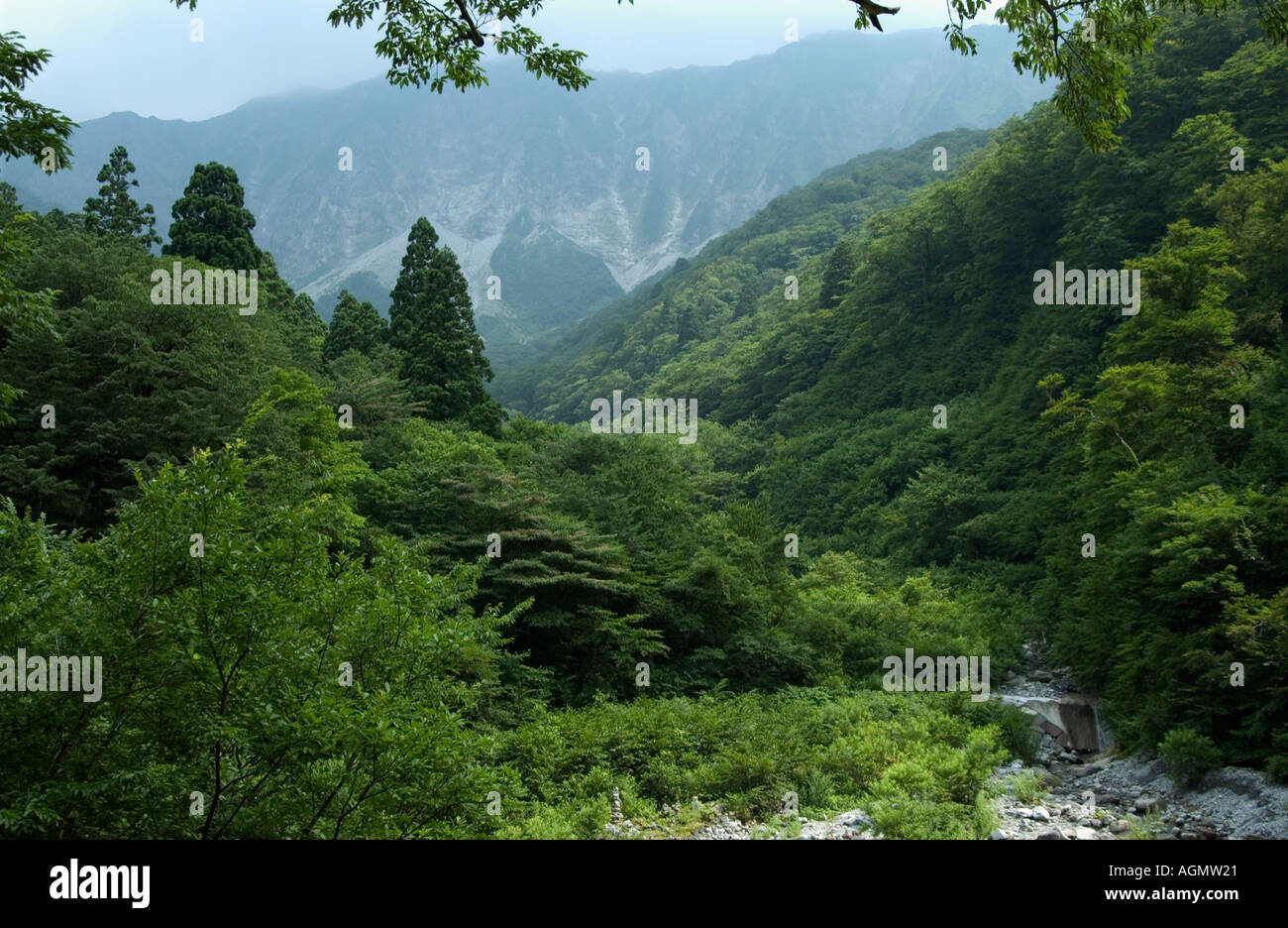 Mt Daisen Tottori Japan Stock Photo - Alamy