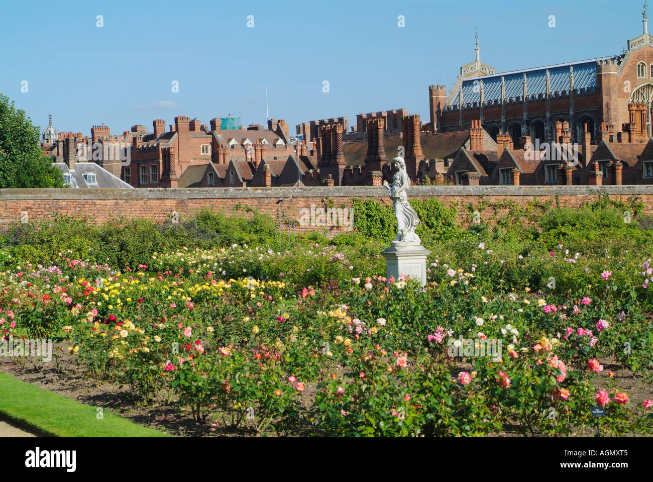 Rose garden and Hampton Court Palace Stock Photo - Alamy
