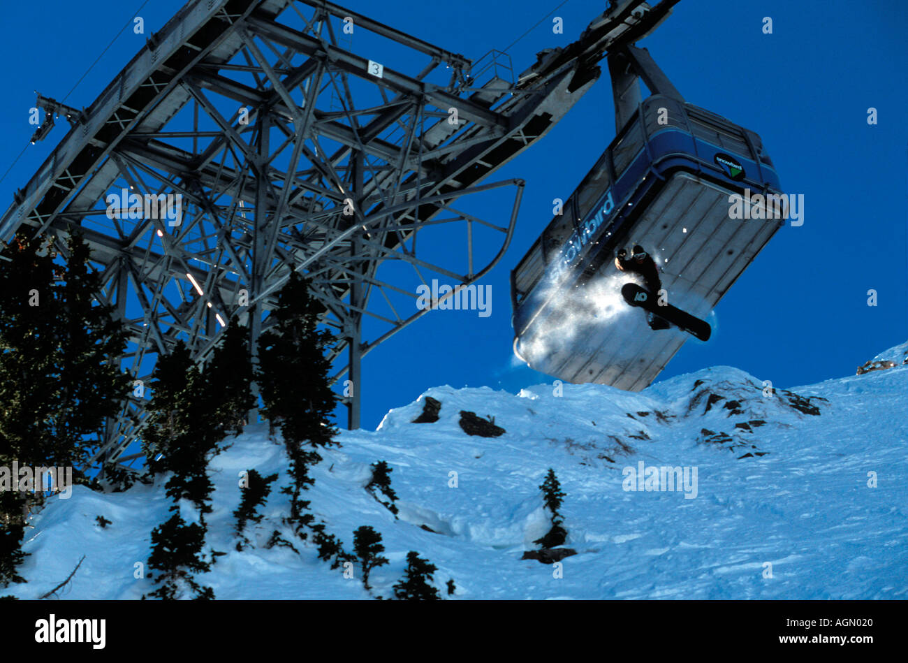 American snowbird hi-res stock photography and images - Alamy