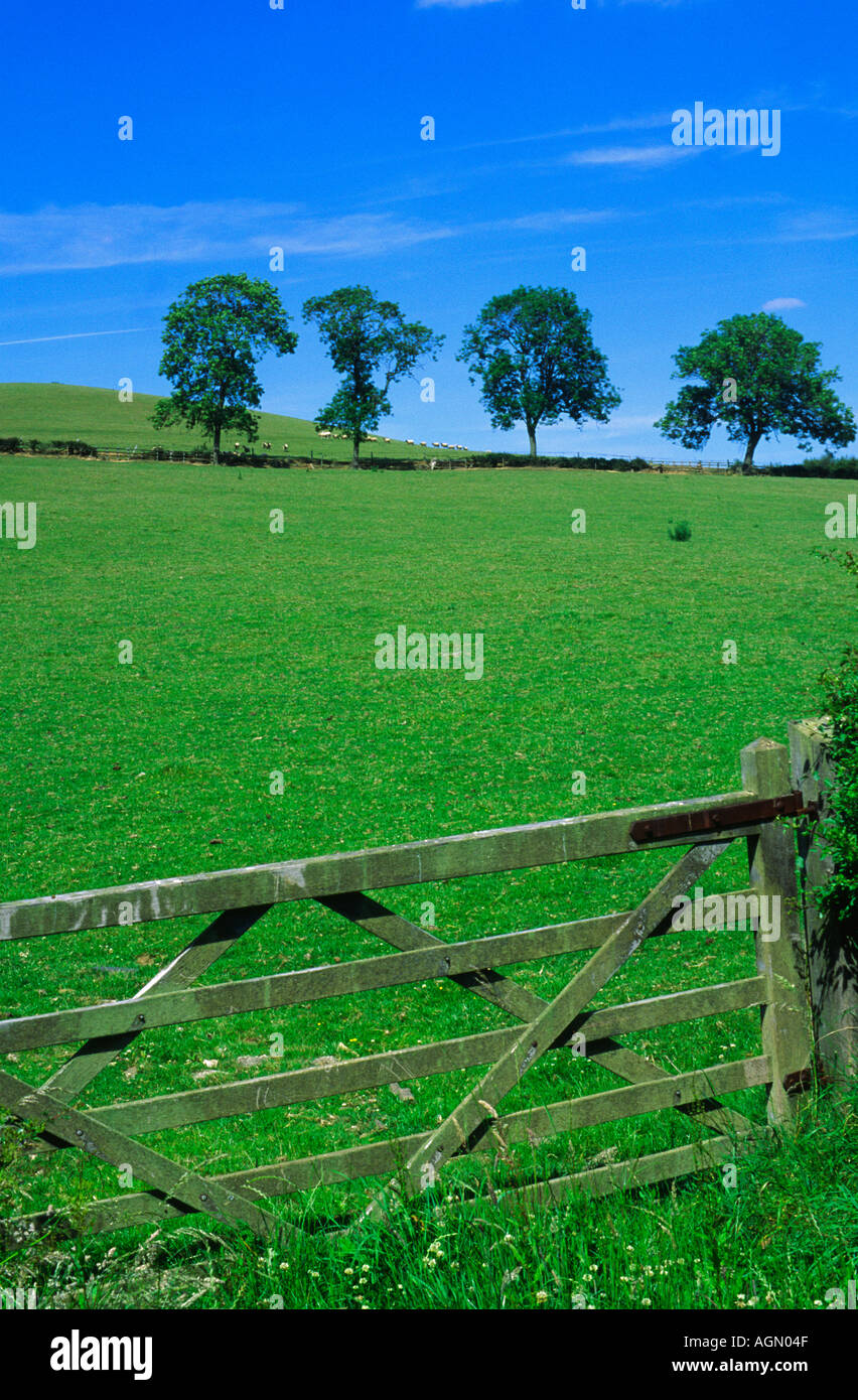 Gate opening into field hi-res stock photography and images - Alamy