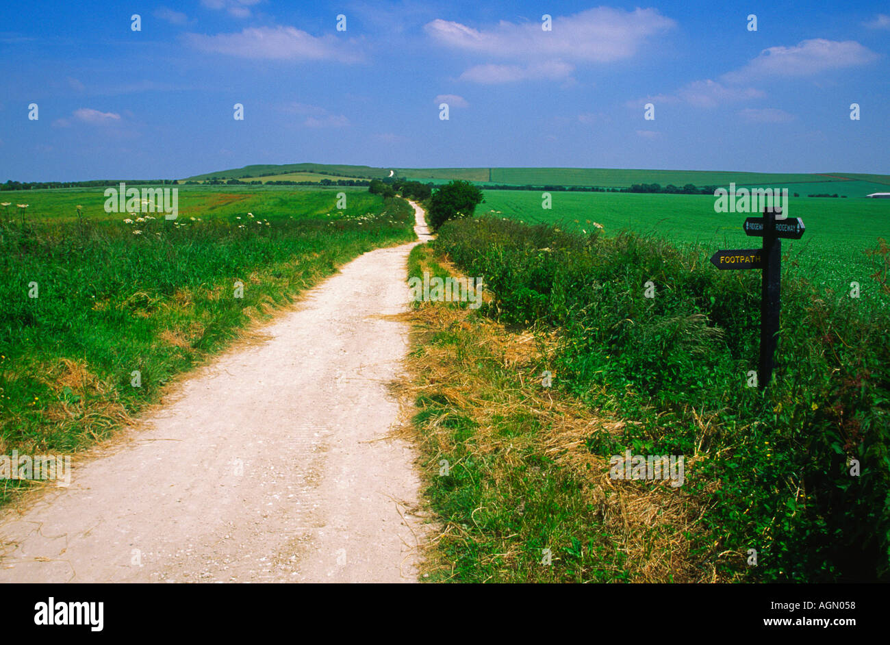The Prehistoric Ridgeway Path at Uffington Oxfordshire England Stock ...