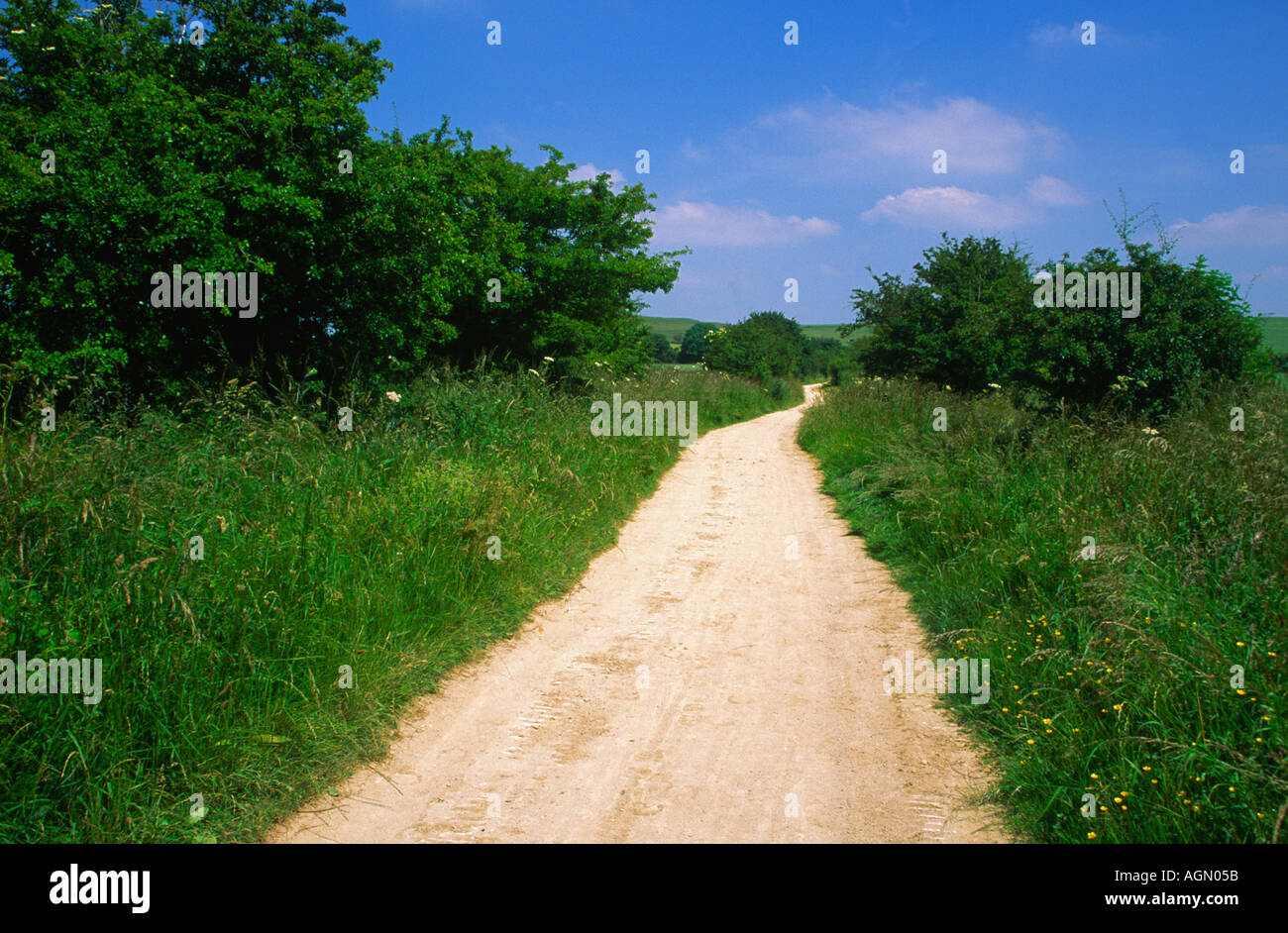 The Prehistoric Ridgeway Path at Uffington Oxfordshire England Stock ...