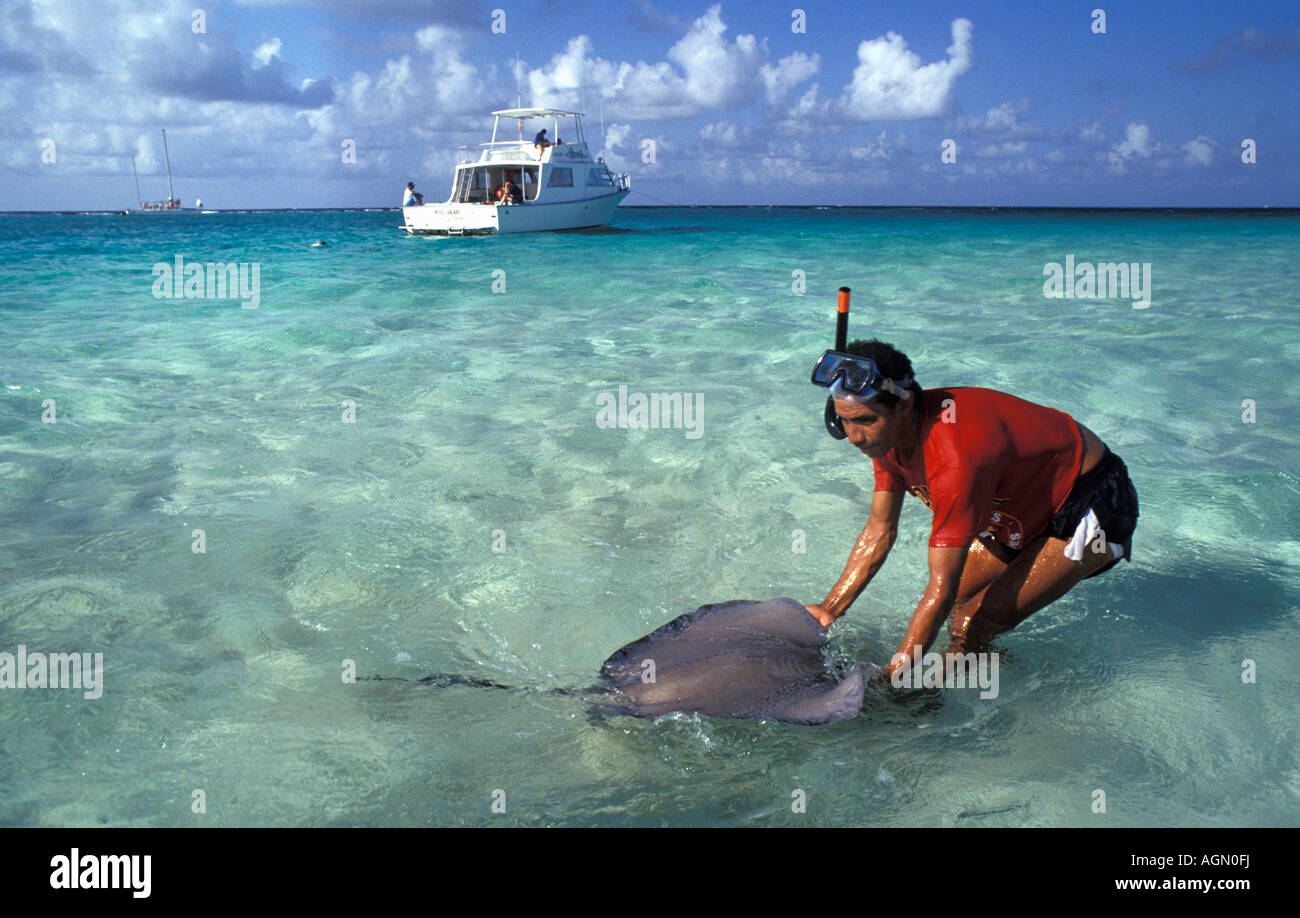 Cayman Island, Grand Cayman, Young man holding stingray Stock Photo - Alamy