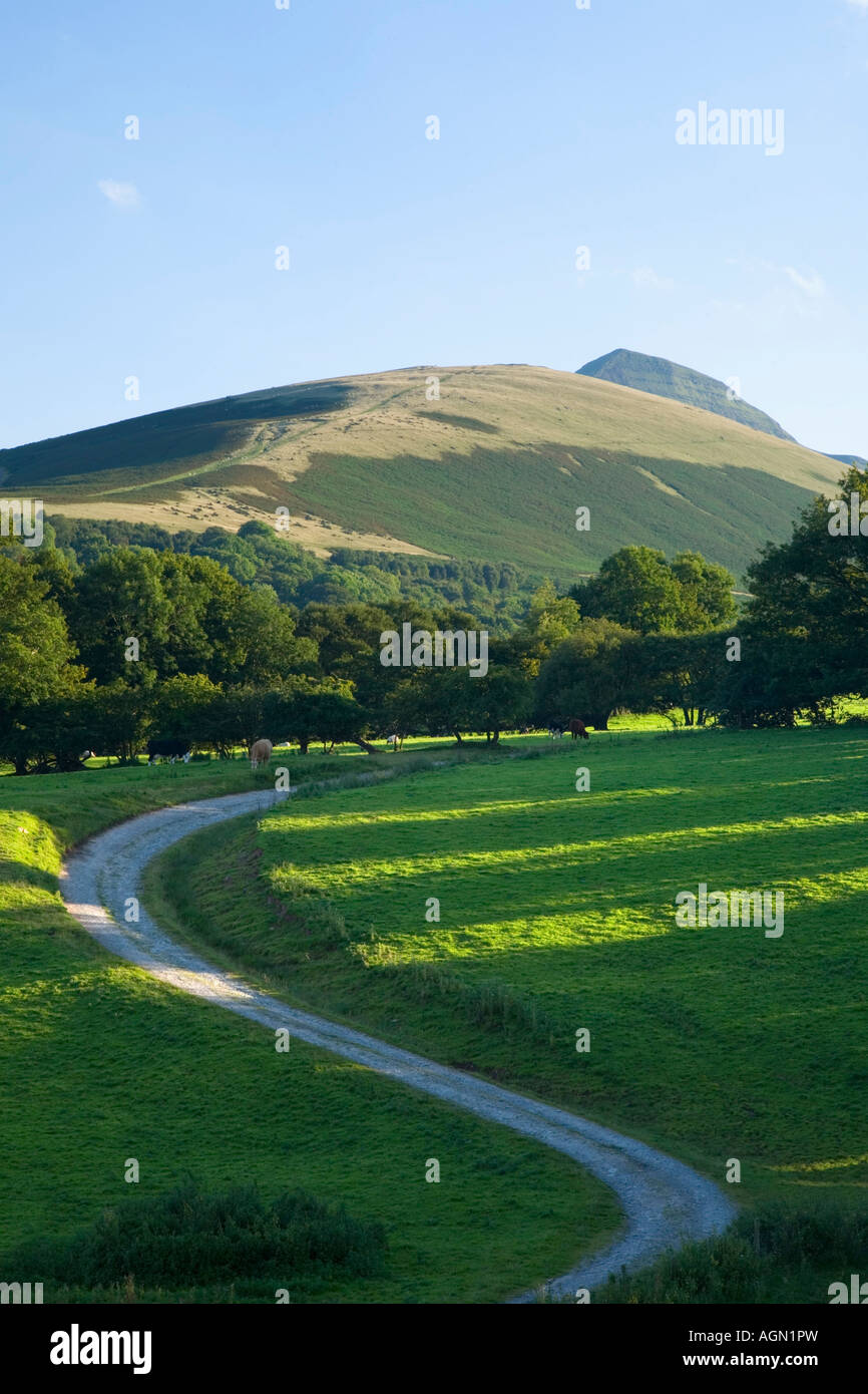 Winding Track leading to Cribyn Brecon Beacons National Park Powys ...