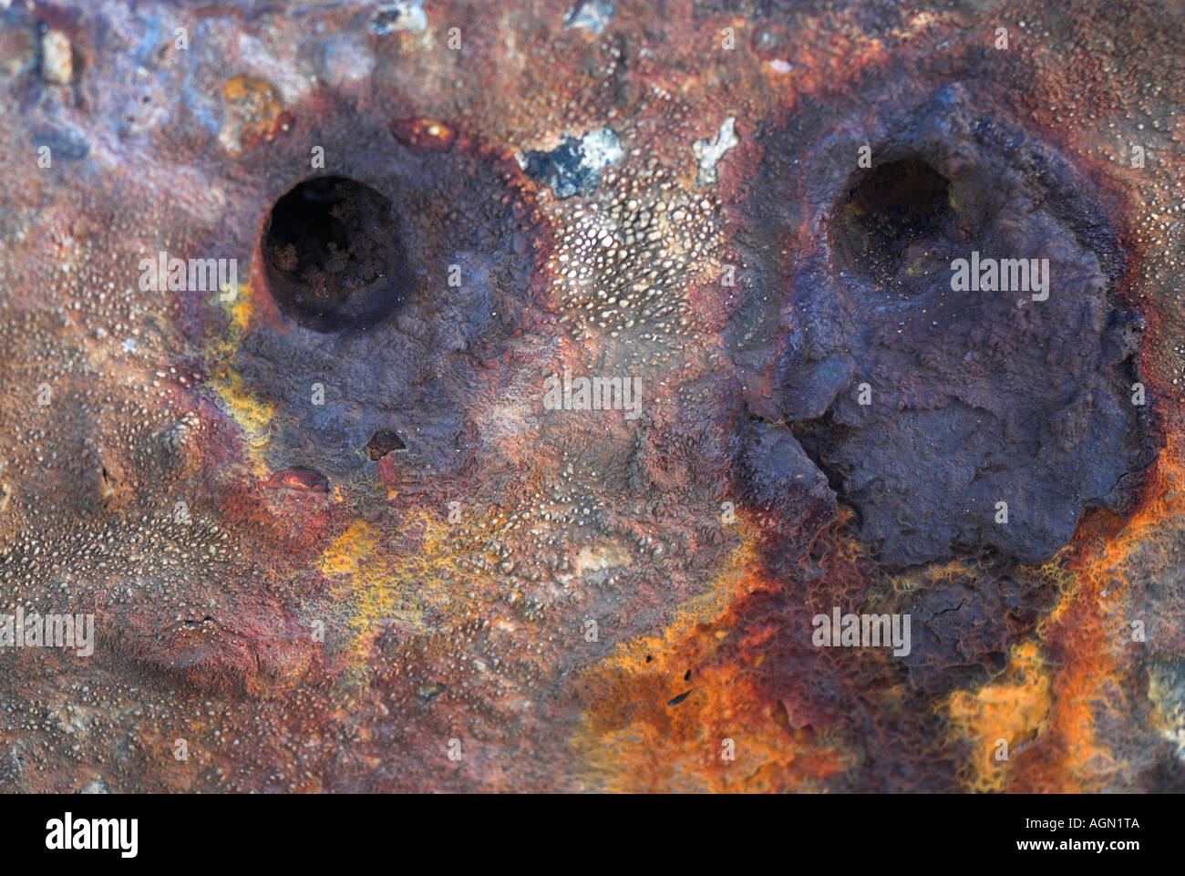 Eye like holes hi-res stock photography and images - Alamy