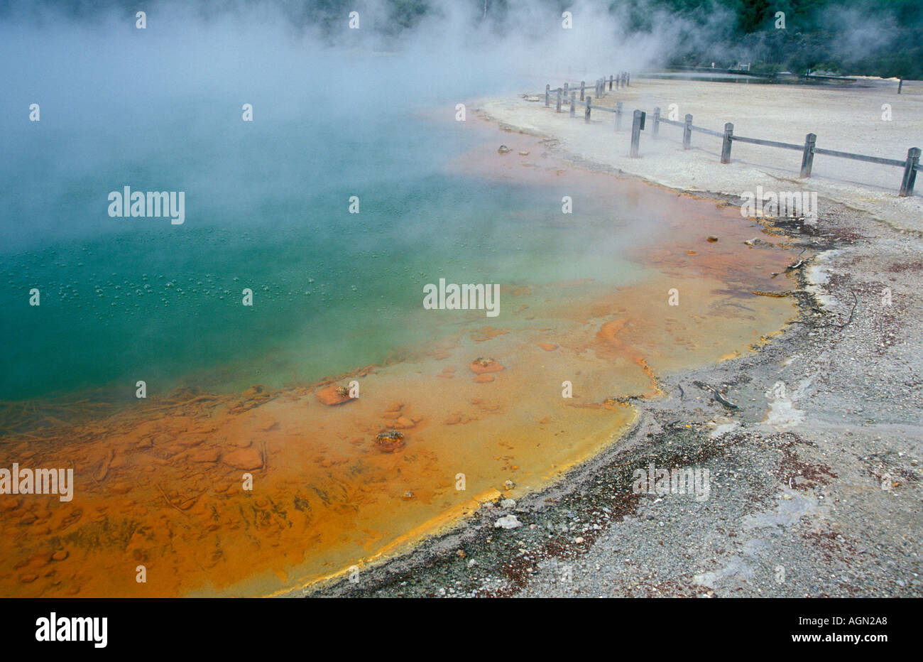 Coloured minerals in the boiling hot Champagne pool Waiotapu thermal ...