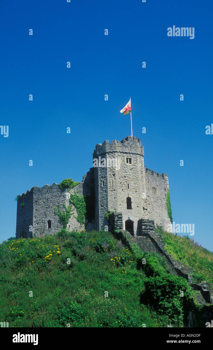 Welsh flag flying from the Norman Keep inside Cardiff castle Cardiff ...