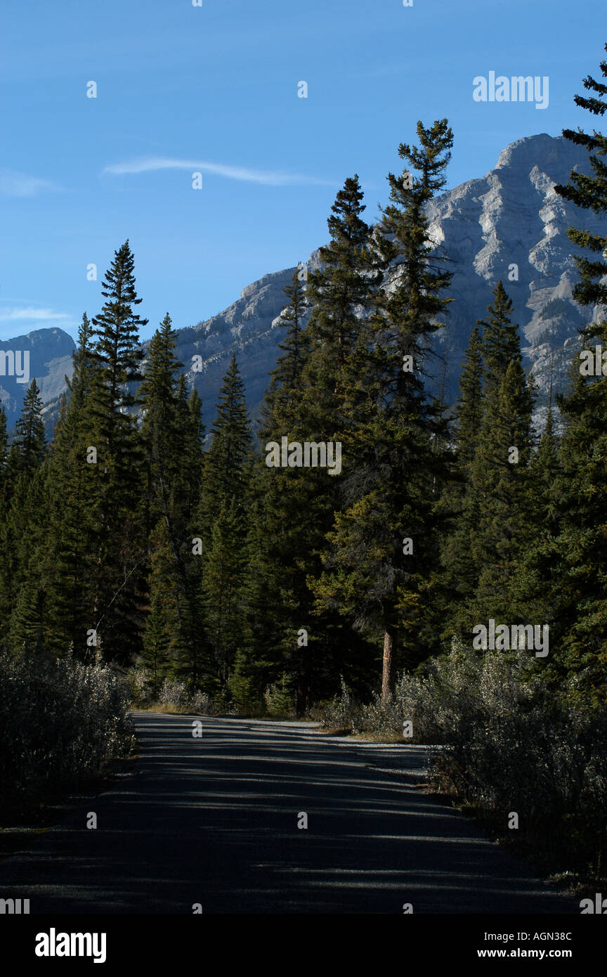Back view country road hi-res stock photography and images - Alamy
