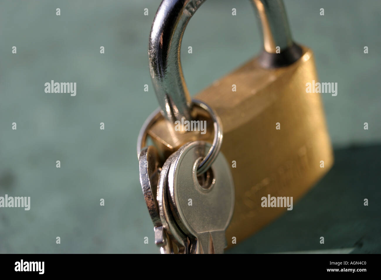 Stole tile hi-res stock photography and images - Alamy