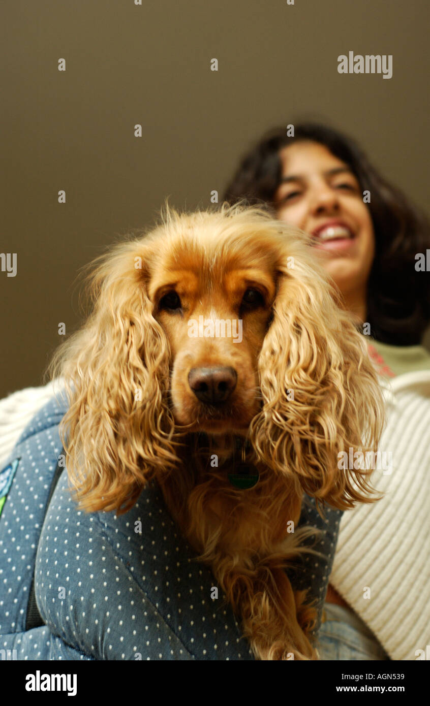 young girl holding cocker in a bag Stock Photo - Alamy