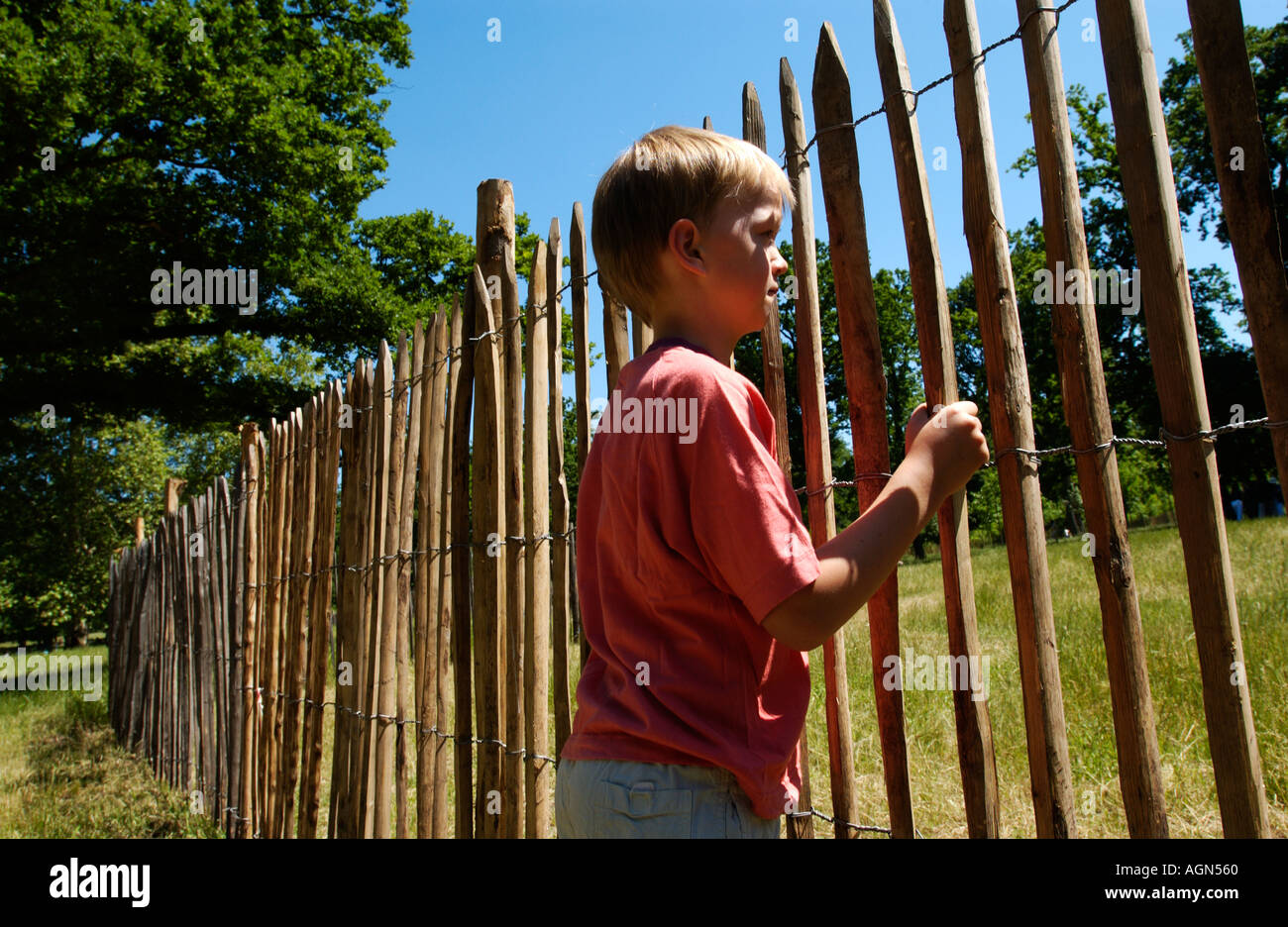 boy looking over barrier under blue sky pink tee shirtsummer time Stock ...