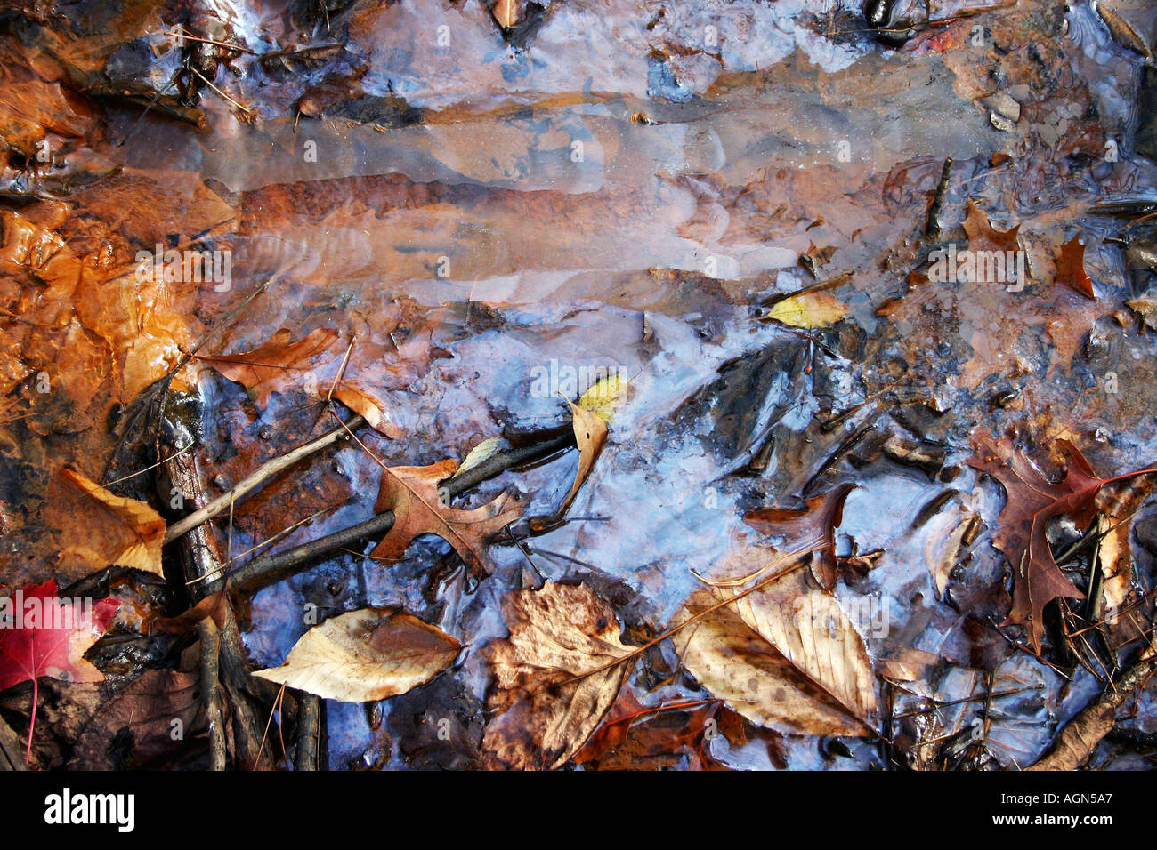 An oily puddle hi-res stock photography and images - Alamy