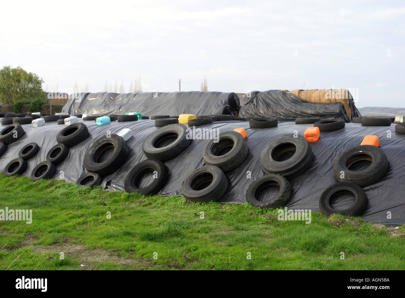 Pile of sawdust covered in plastic which is being held down by old ...