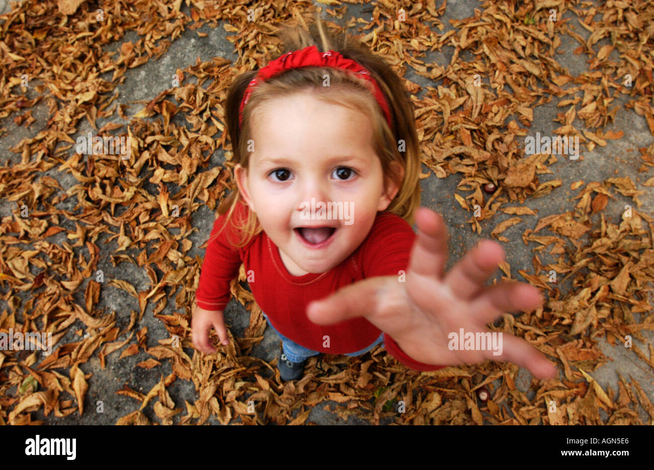 little girl looking at camera Stock Photo - Alamy