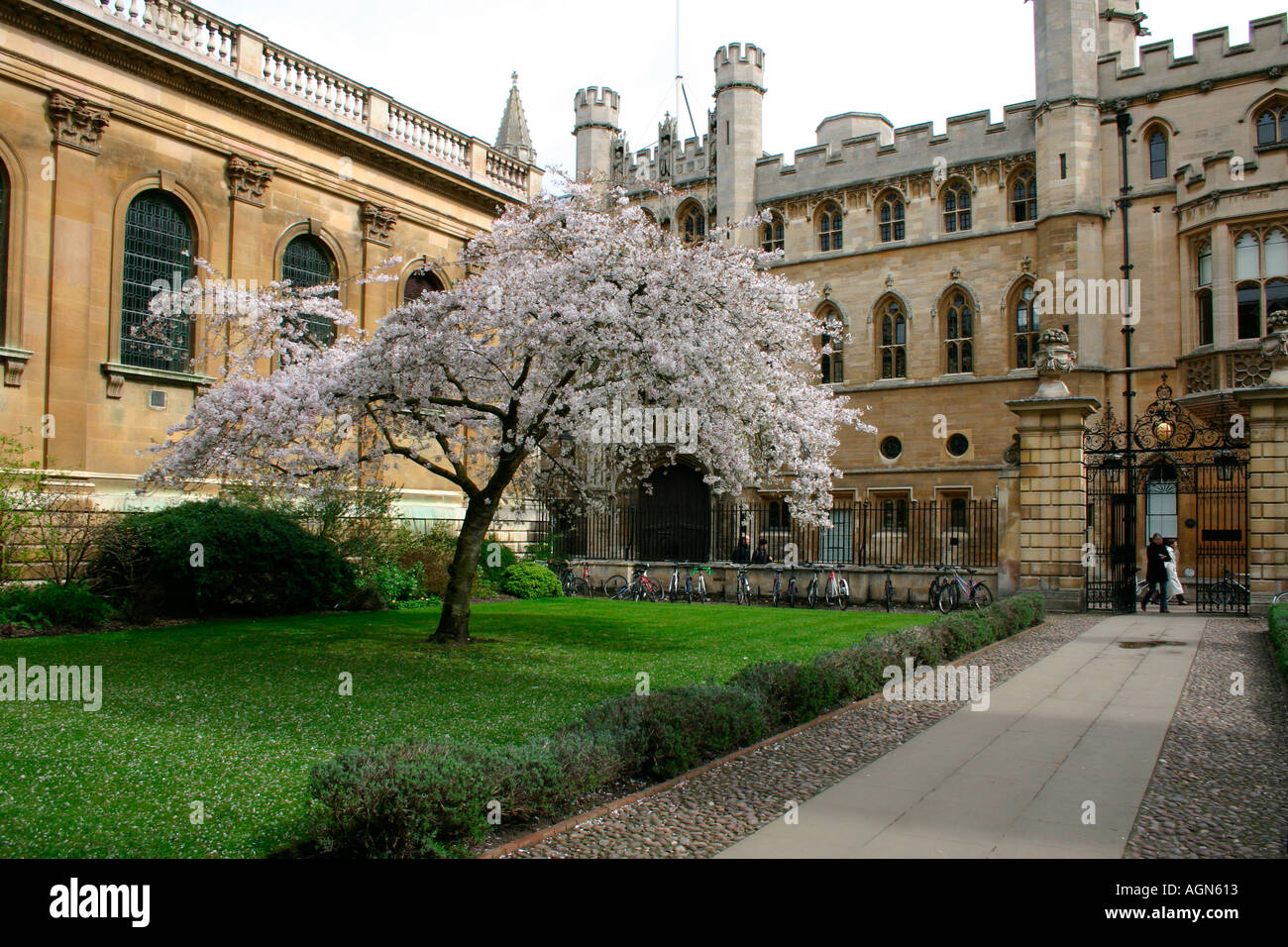 Clare College entrance, Cambridge, England Stock Photo - Alamy