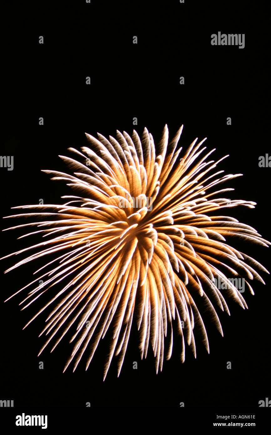 Flower shaped single rocket exploding into the sky in a firework ...