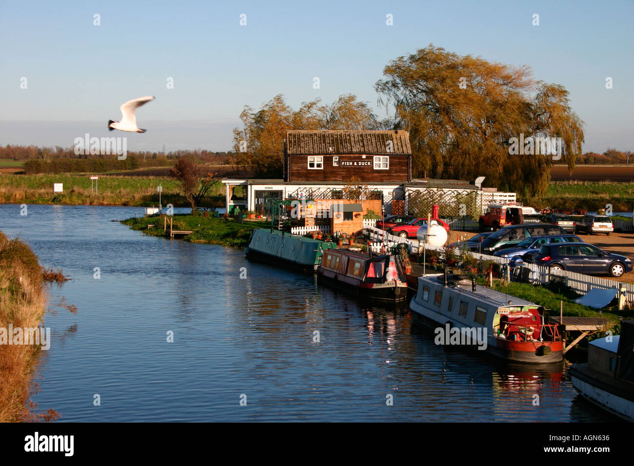 Fish and Duck public house and marina Stock Photo - Alamy