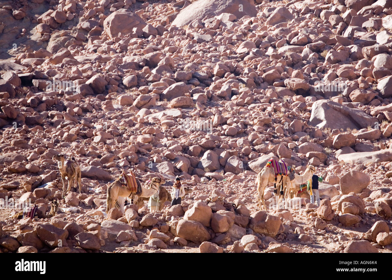 Egypt base hi-res stock photography and images - Alamy