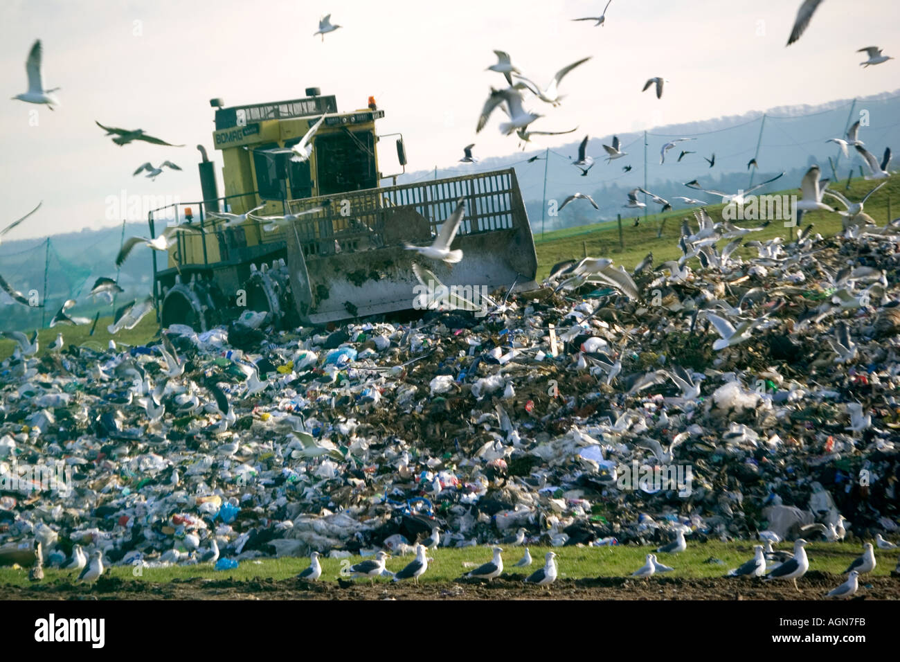 Wingmoor hi-res stock photography and images - Alamy