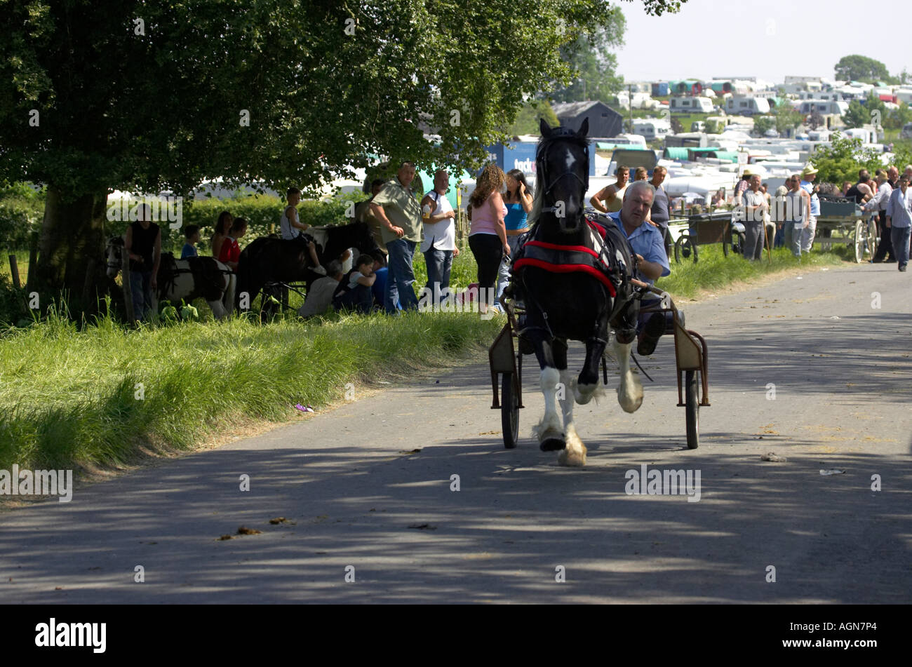 Gypsy racing trap hi-res stock photography and images - Alamy