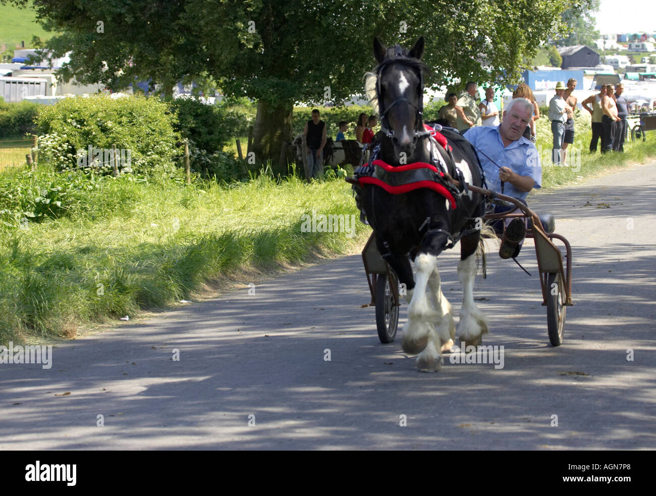 Gypsy racing trap hi-res stock photography and images - Alamy