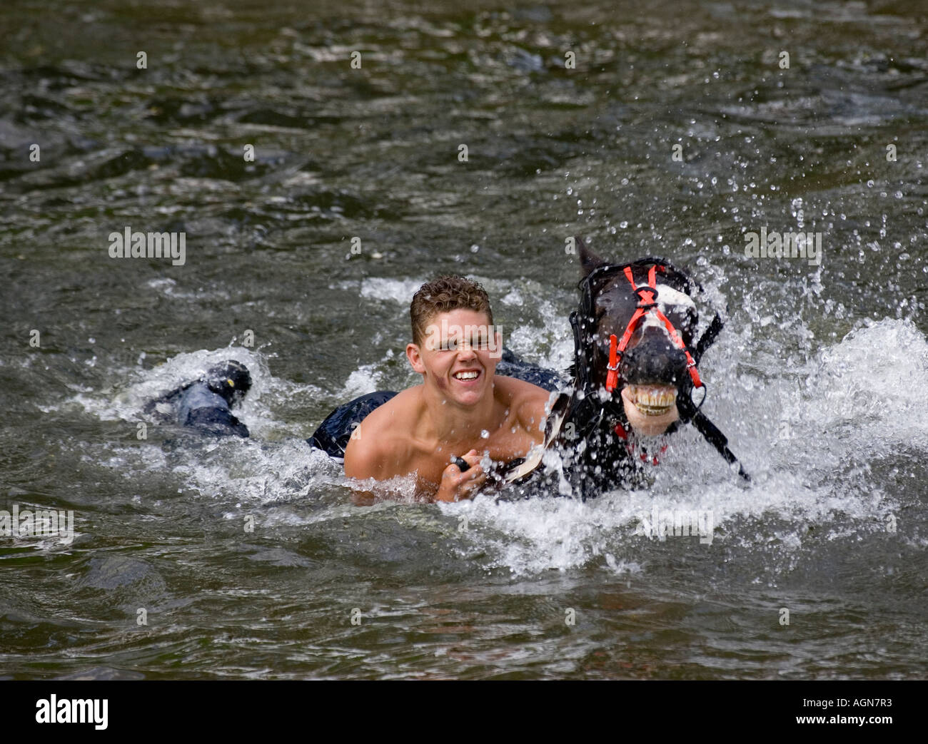 Gypsy racing trap hi-res stock photography and images - Alamy
