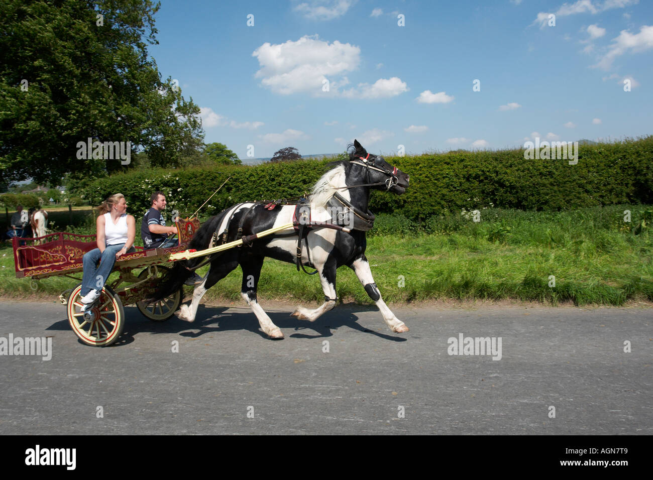 Horse road racing hi-res stock photography and images - Alamy