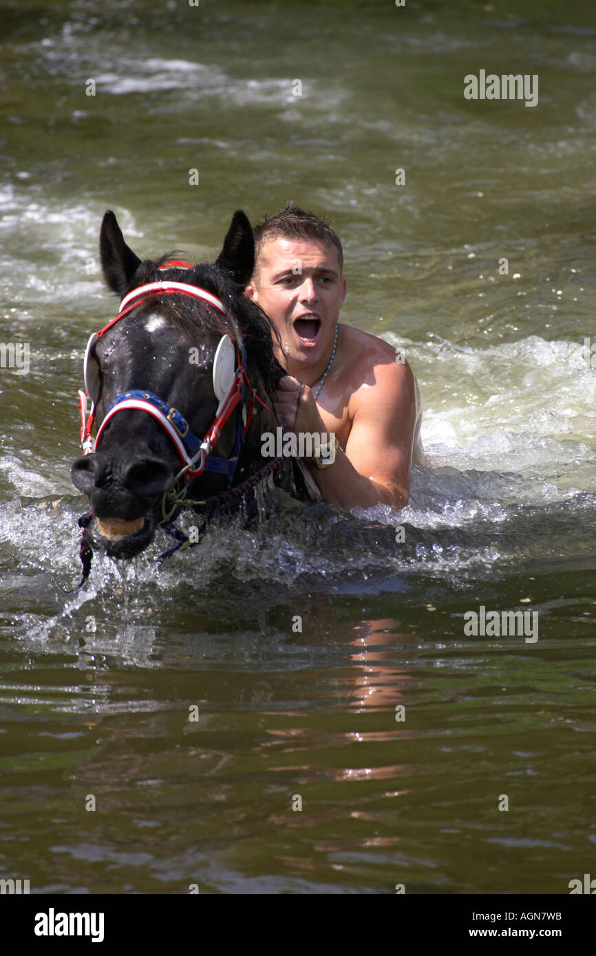 Gypsy racing trap hi-res stock photography and images - Alamy