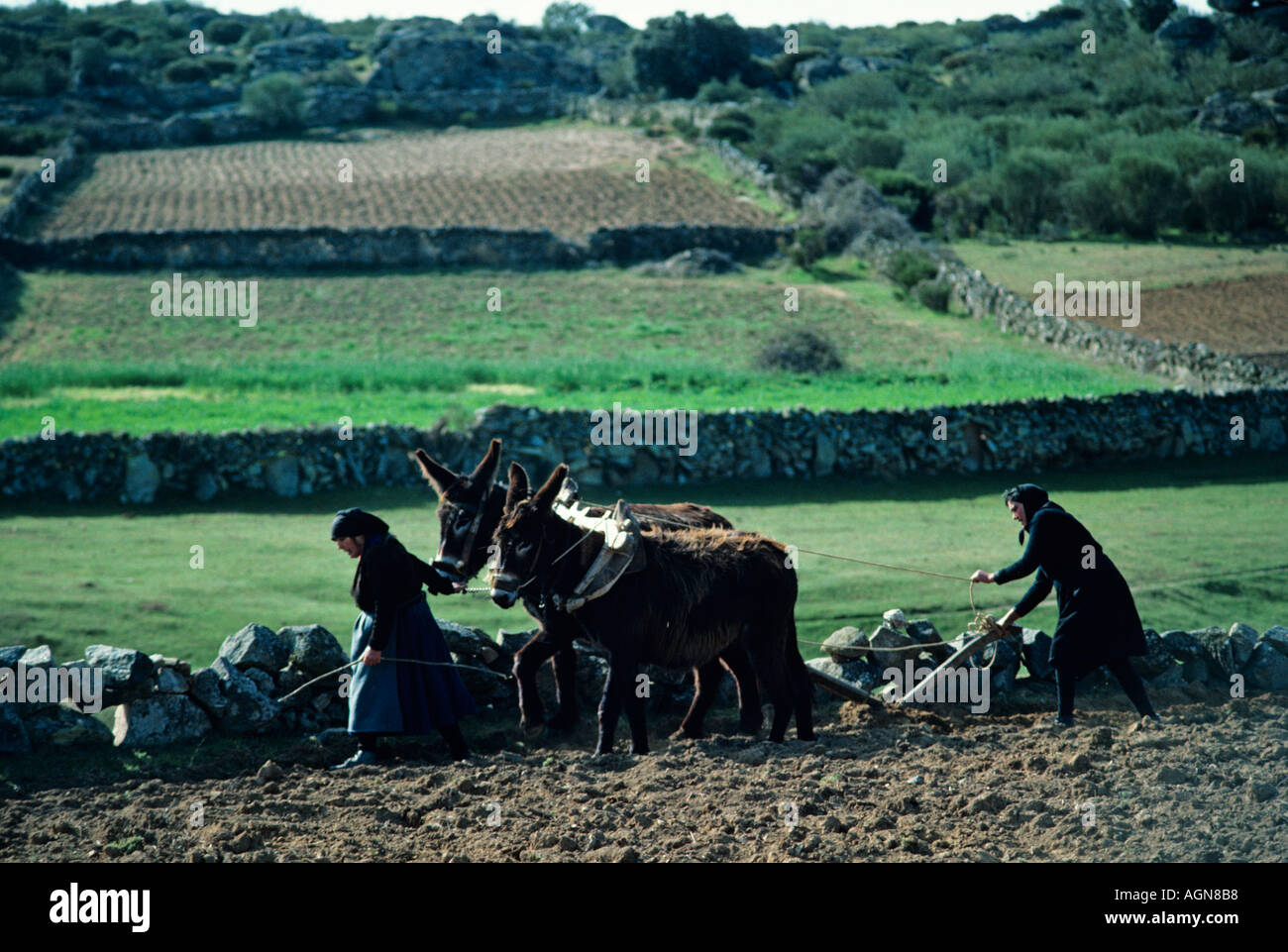 Women ploughing hi-res stock photography and images - Alamy