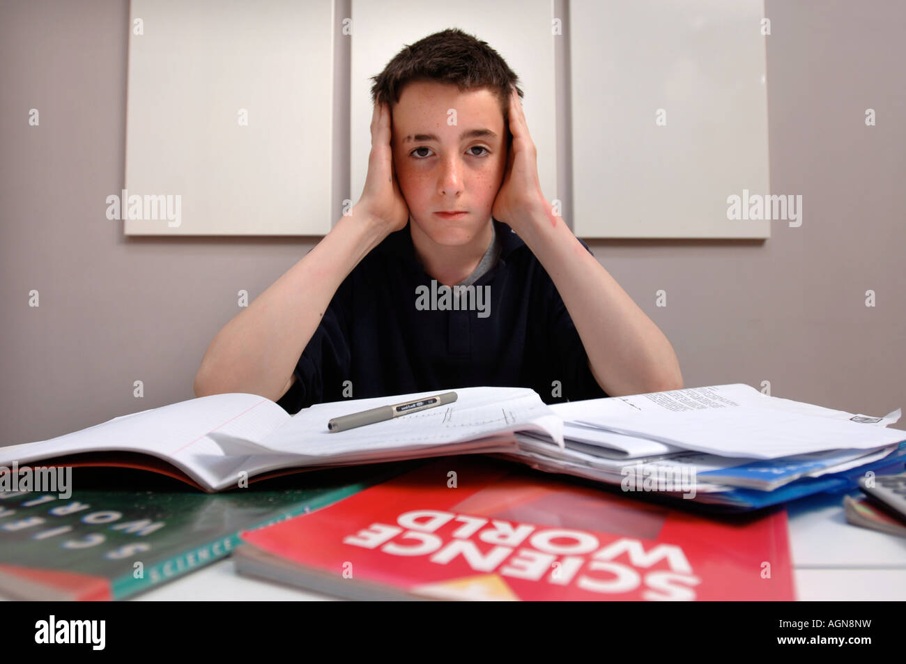 PORTRAIT OF A TEENAGE BOY WITH HIS SCIENCE HOMEWORK UK Stock Photo - Alamy