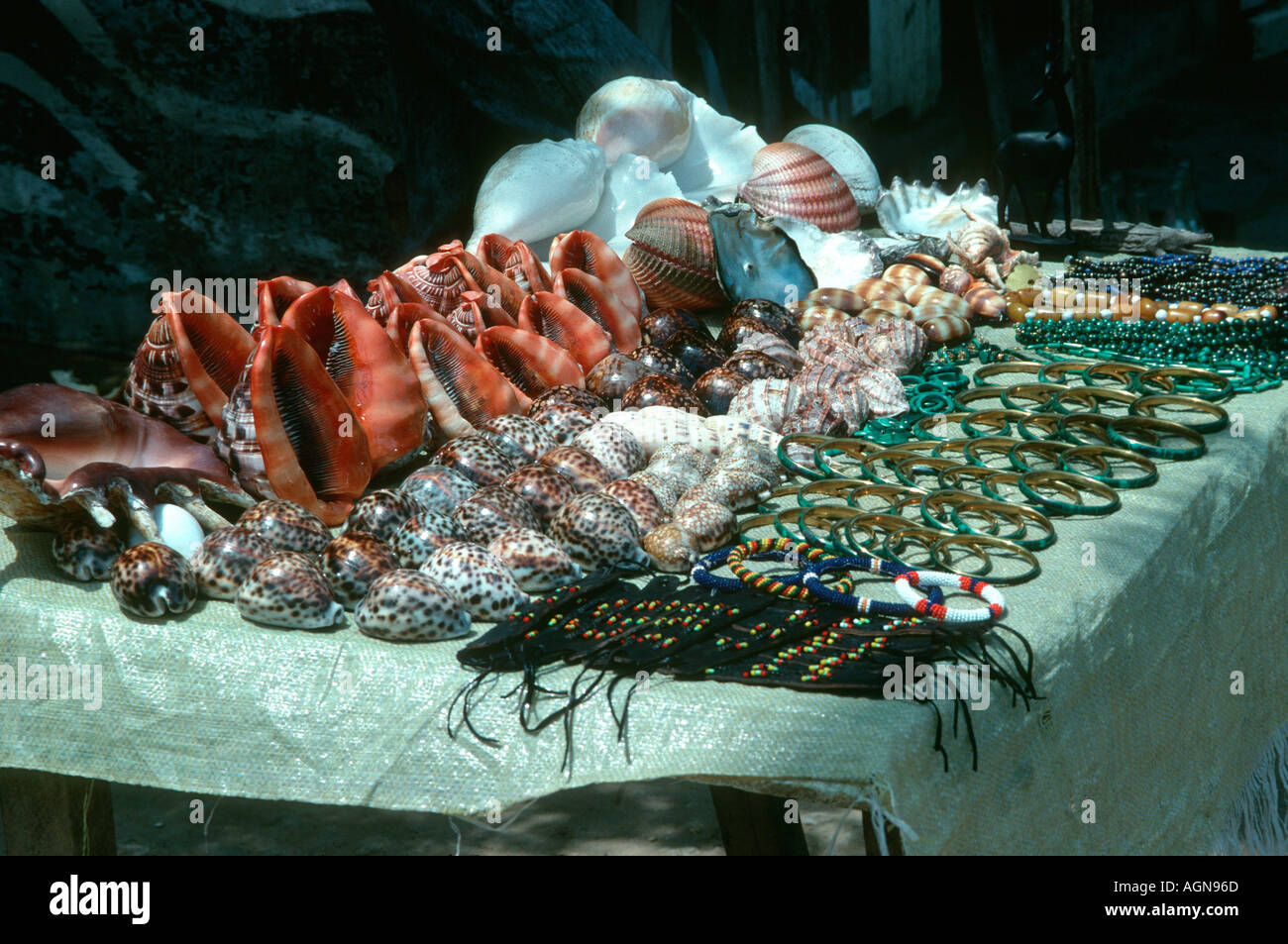 Kenya seashells africa hi-res stock photography and images - Alamy