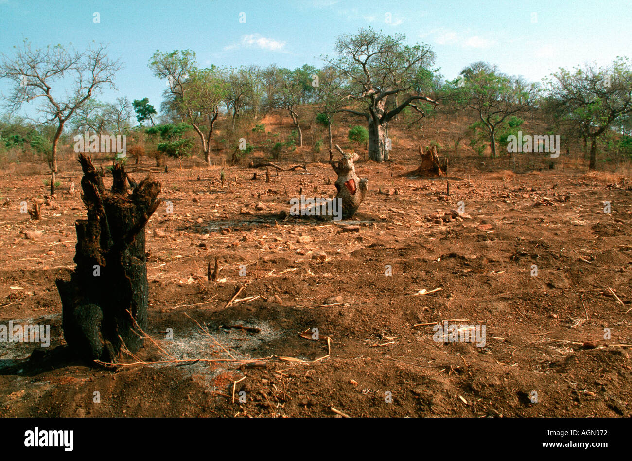 Shifting cultivation hi-res stock photography and images - Alamy