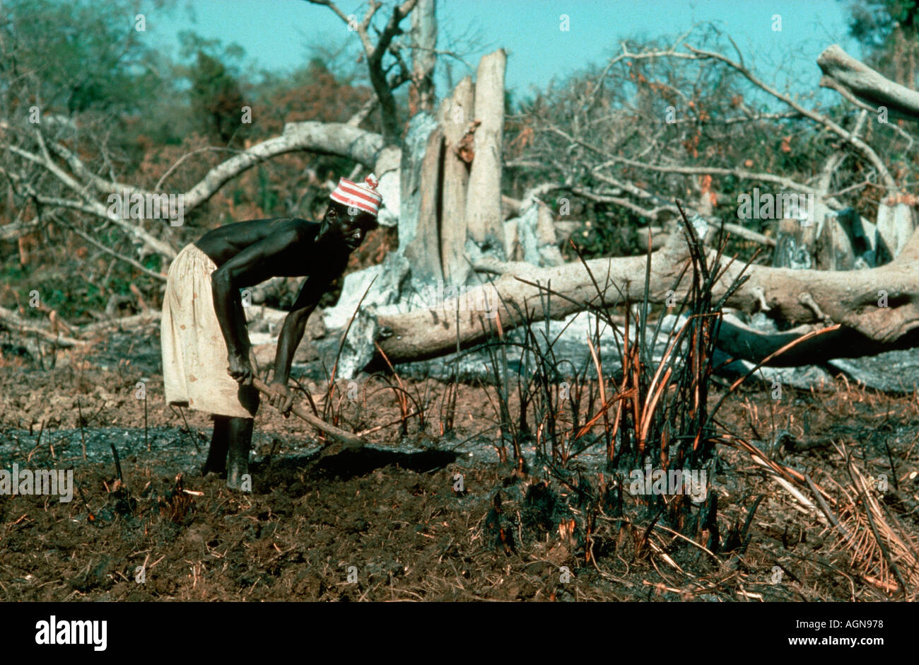 Shifting cultivation hi-res stock photography and images - Alamy