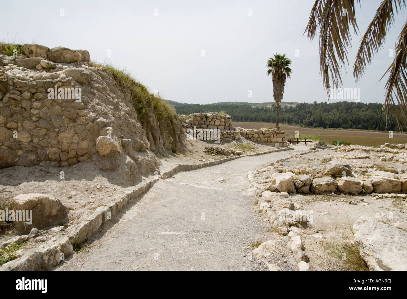 Israel Jezreel Valley Tel Megiddo Stock Photo - Alamy