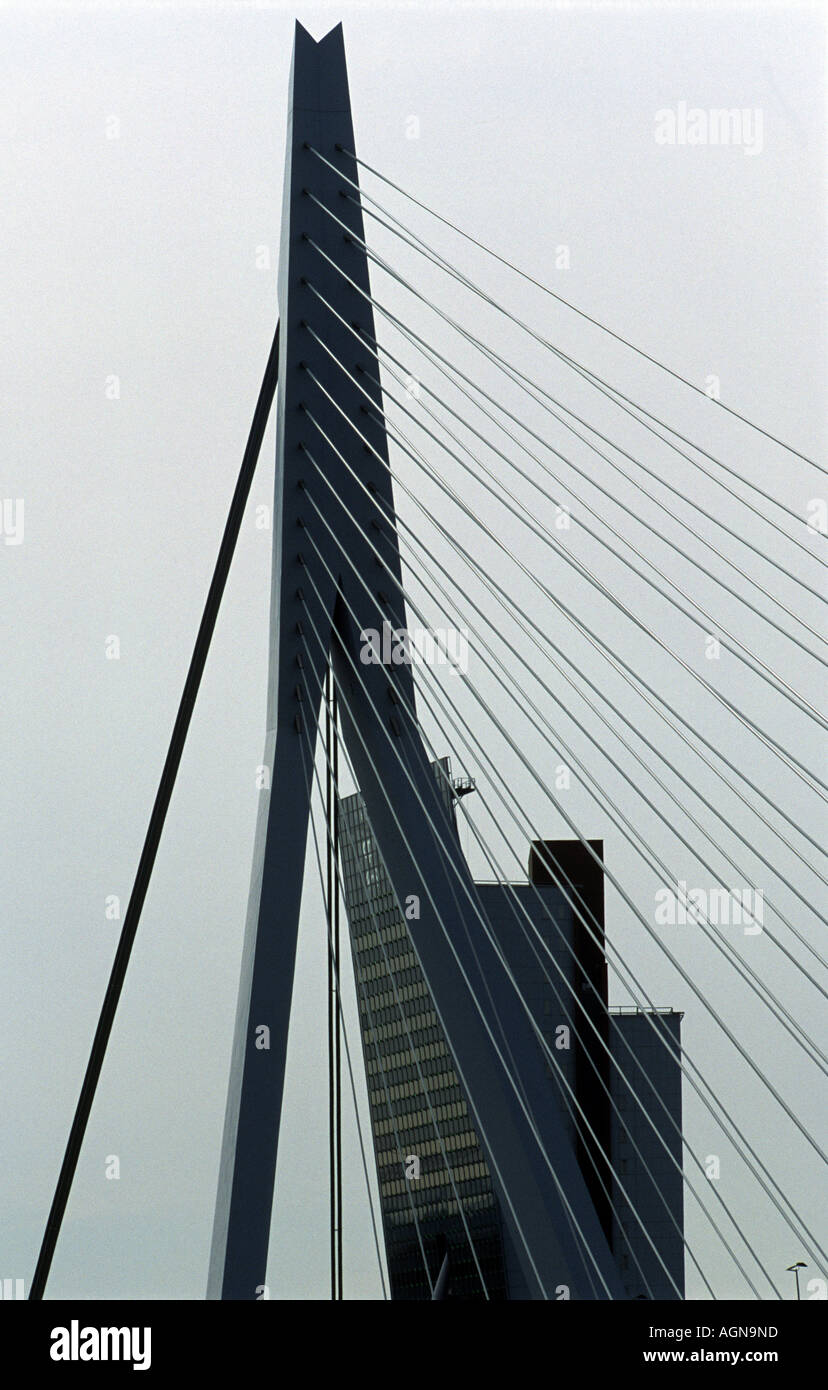 The Erasmusbrug bridge spanning the river Nieuwe Maas, Rotterdam ...