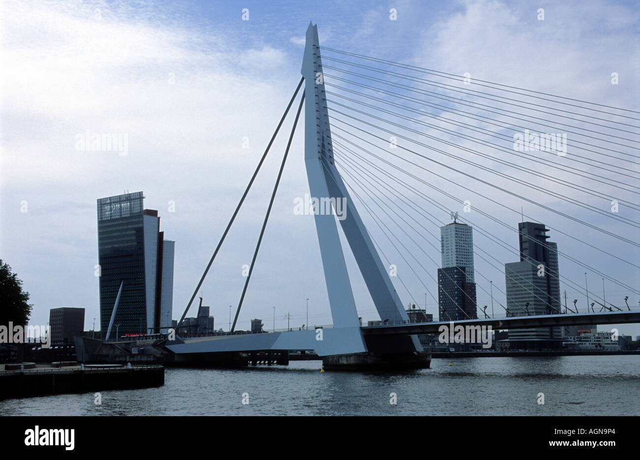 The Erasmusbrug bridge spanning the river Nieuwe Maas, Rotterdam ...