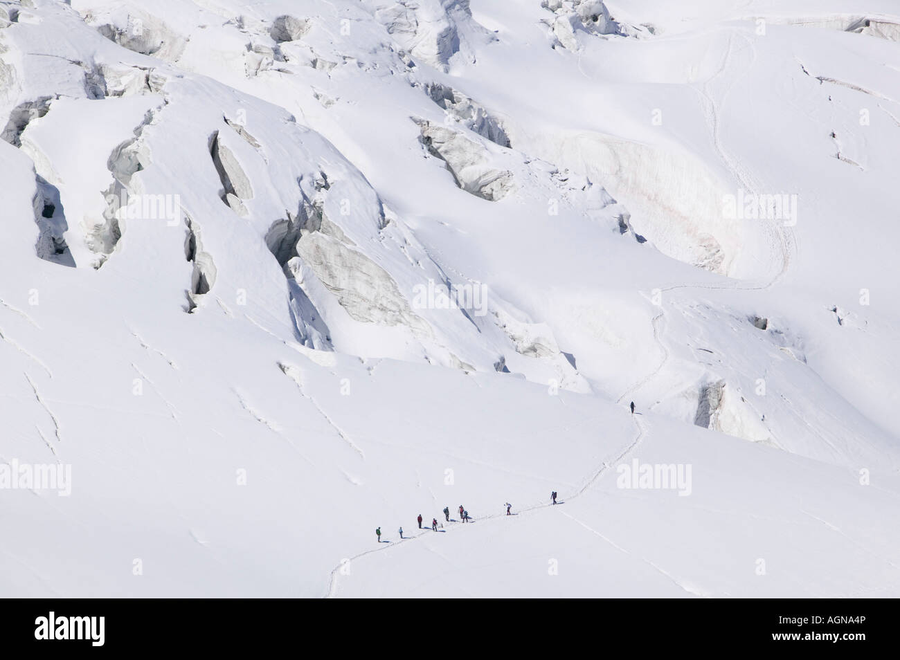 Climbers crossing a crevasse field on the glacier Du Geant like most ...