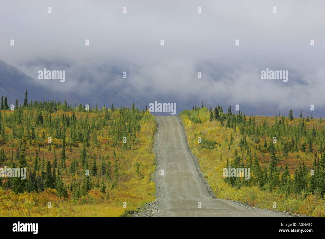 the Denali Highway is a rough gravel road Alaska USA Stock Photo - Alamy