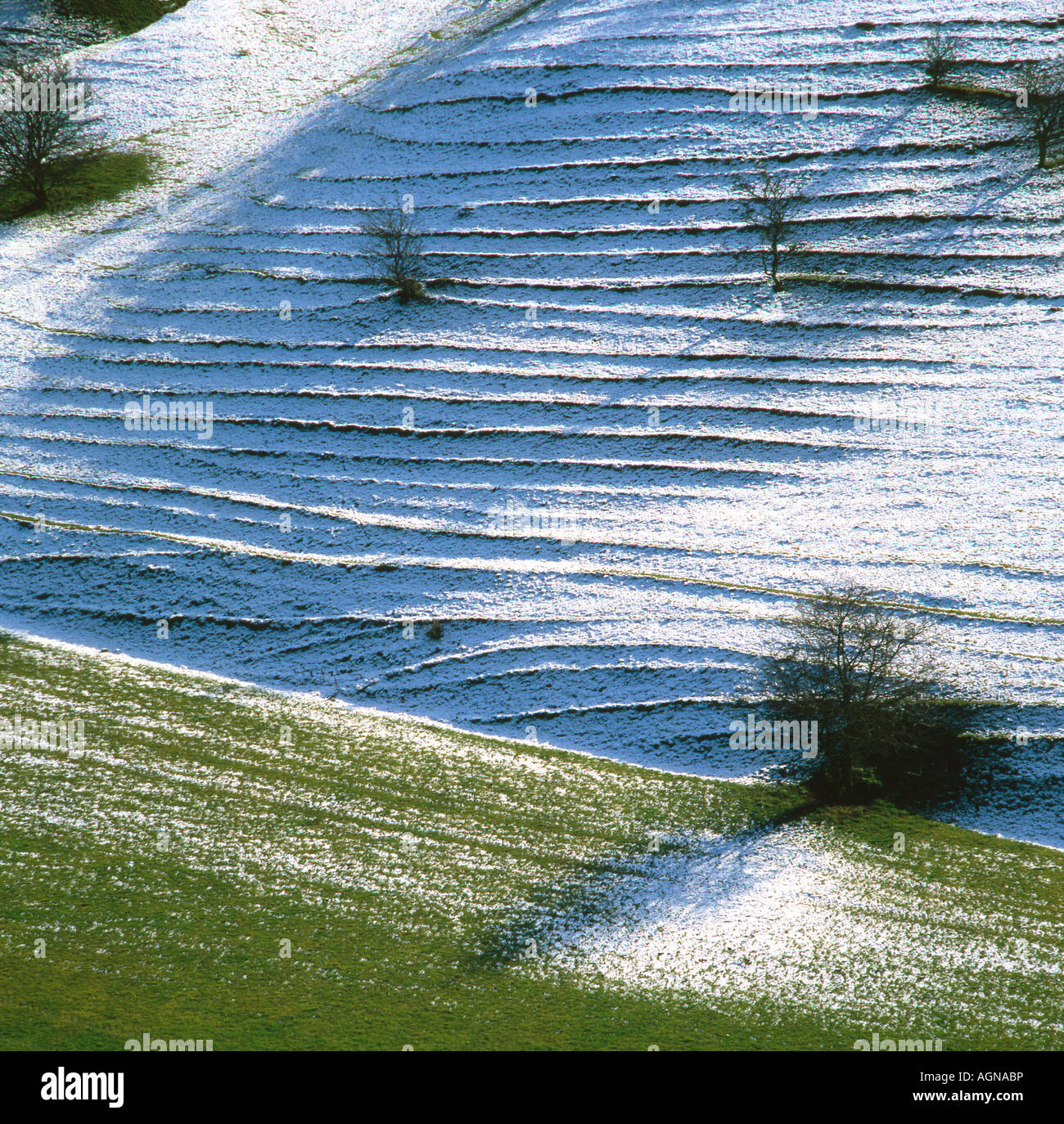 Hillside on Salisbury Plain, England Stock Photo - Alamy