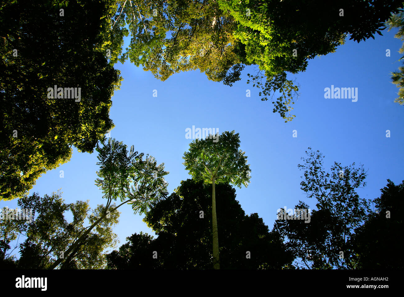 Byron bay bush walk hi-res stock photography and images - Alamy