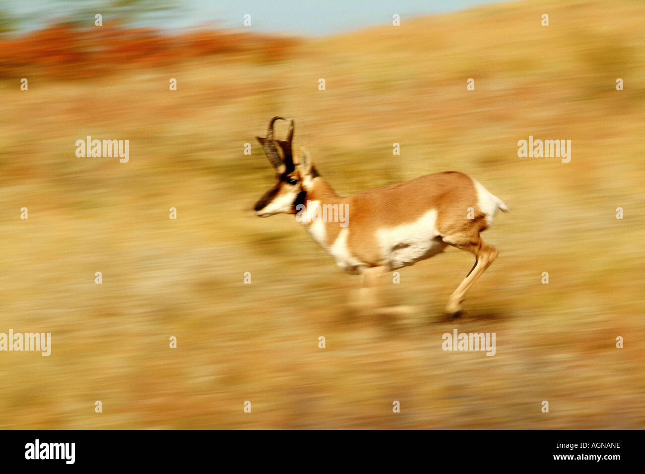 Quickly Stock Photos & Quickly Stock Images - Alamy