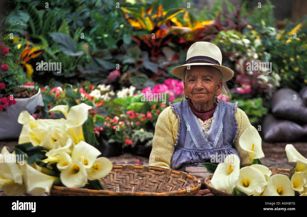 Cuenca ecuador flower hi-res stock photography and images - Alamy