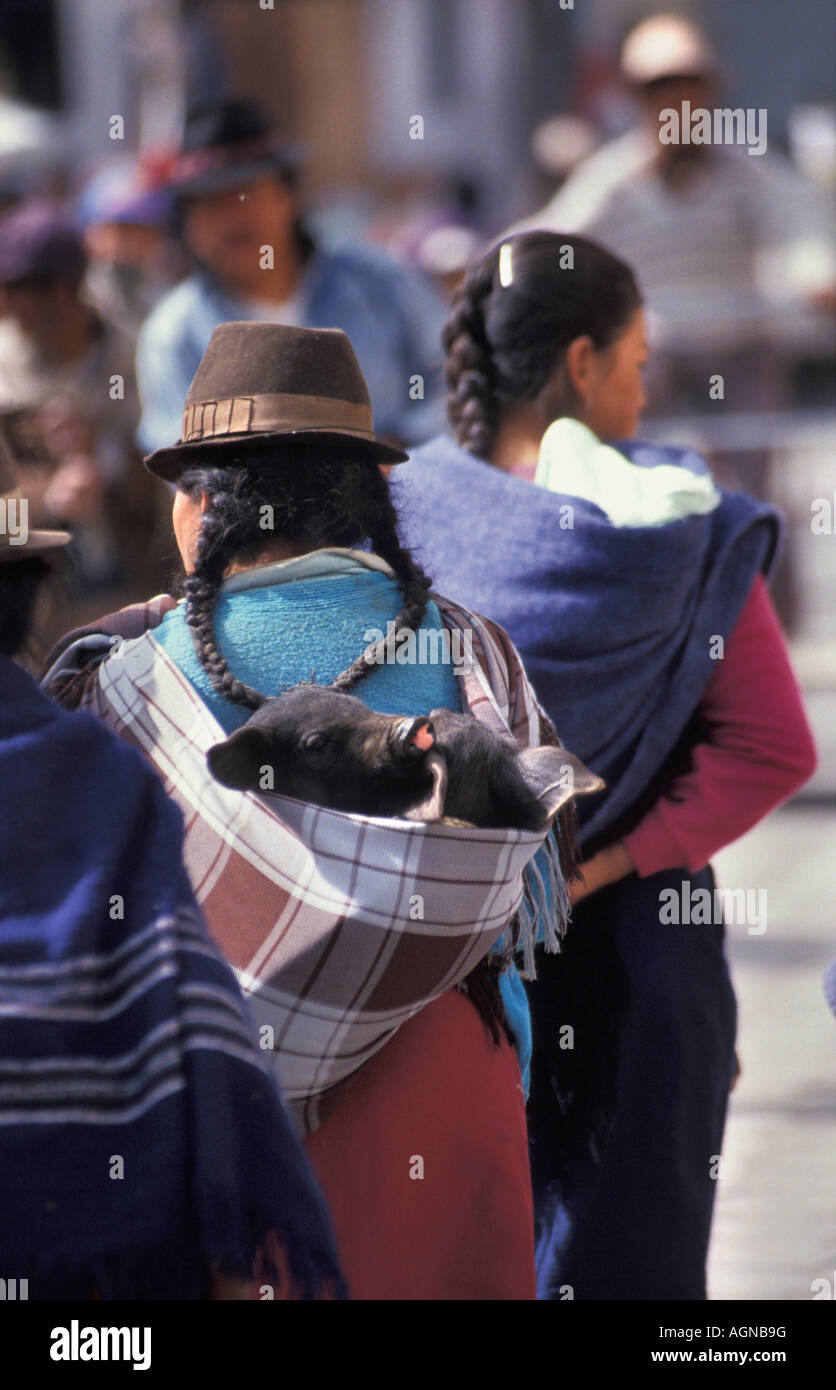 Ecuador Cuenca Woman carrying pig for sale Stock Photo - Alamy
