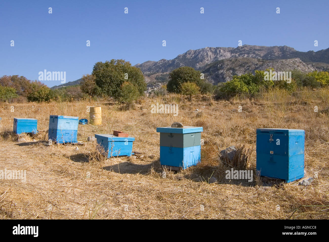 Honey bee boxes hi-res stock photography and images - Alamy