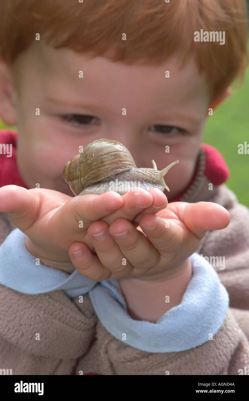 MR little boy is watching a edible snail on his hand Stock Photo - Alamy