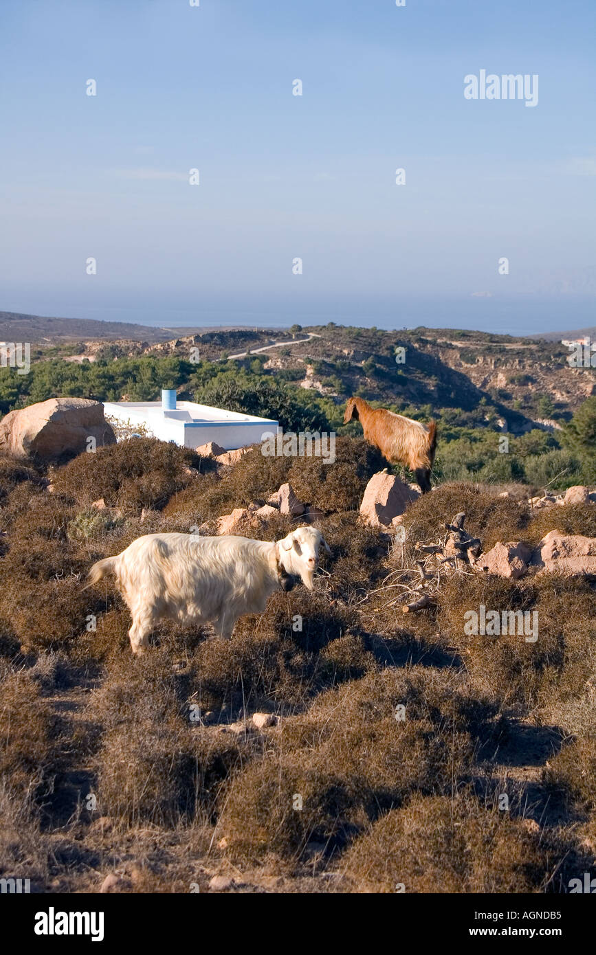 Greek farmhouse hi-res stock photography and images - Alamy