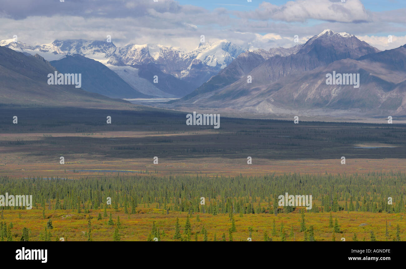 Alaska Range mountains from Denali Highway Alaska USA Stock Photo - Alamy